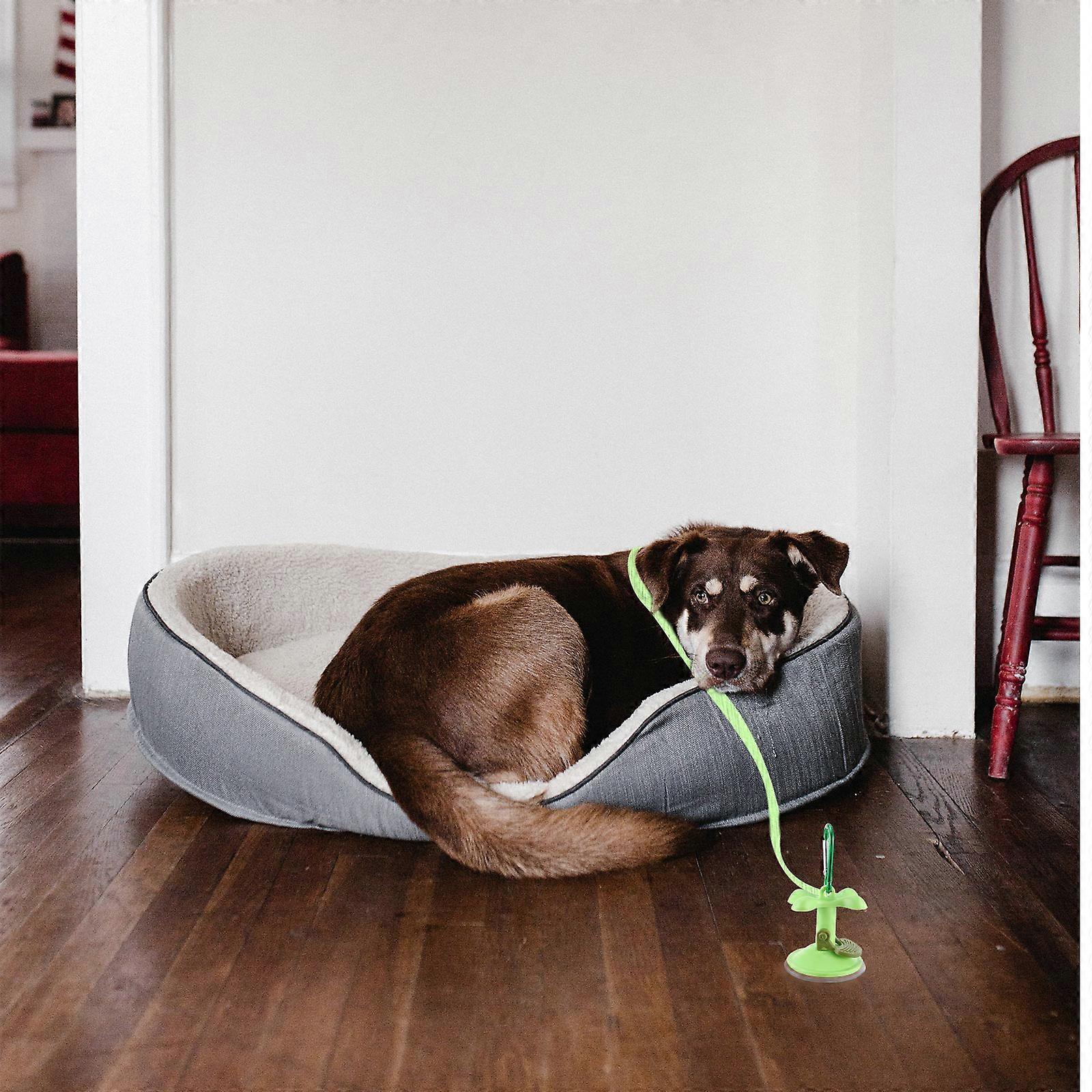 Suction Cup for Pet Dog Cat Bathtub Shower Bathing Grooming Tether ...