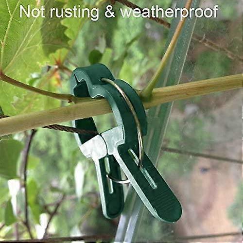 Plant Clamps, Plant Holders, Plant And Flower Clips, Plant Connectors ...