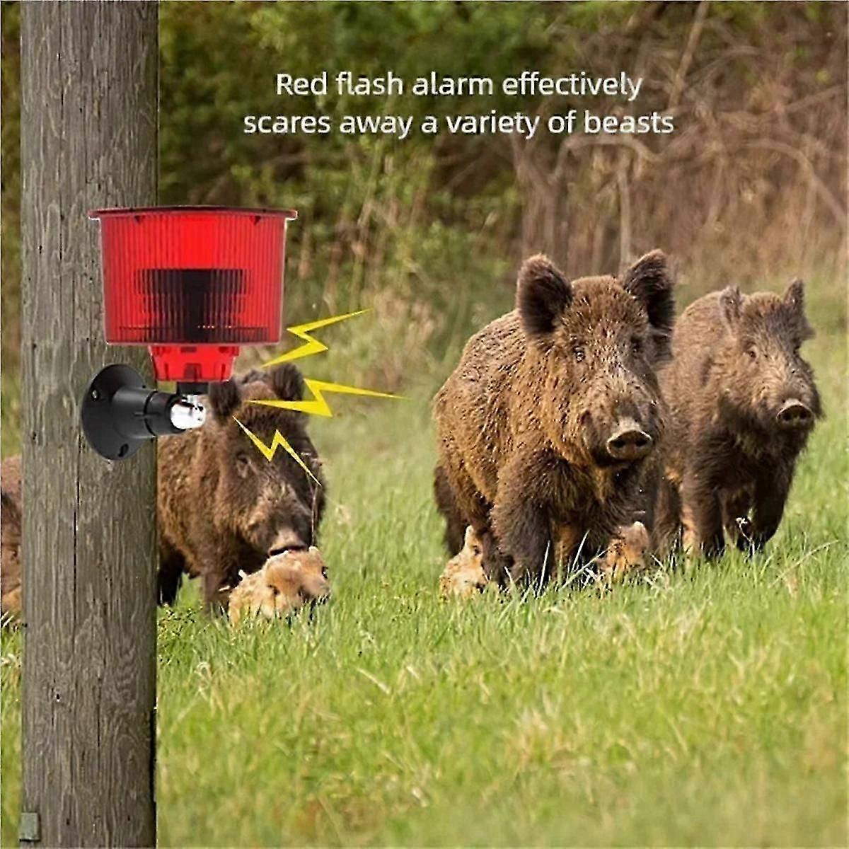 Solar Powered Alarm Light Bird Animal Repllent Motion Sensor Detector ...