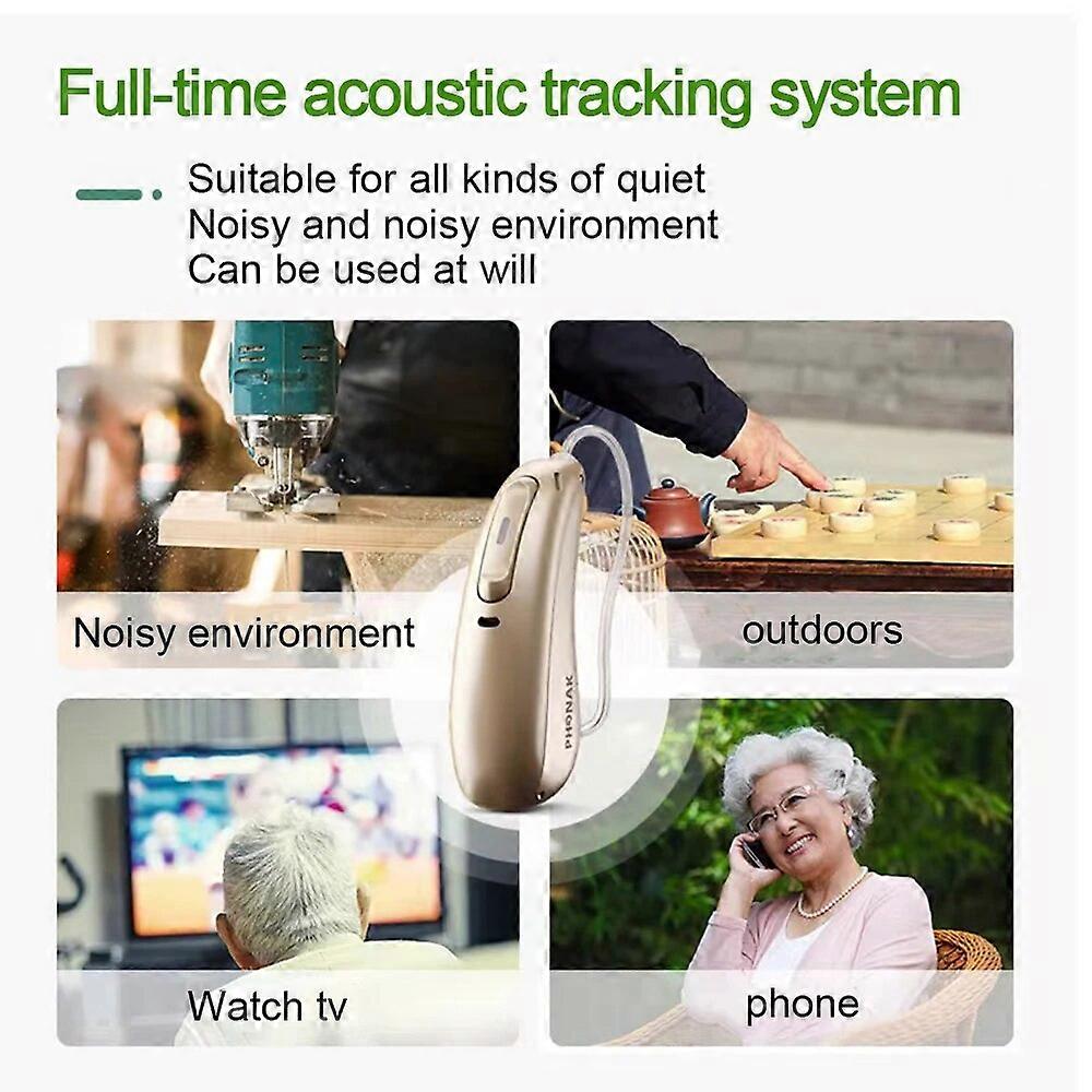 Digitale Phonak Audeo P30-R/P50-R RIC Bluetooth oplaadbare ...