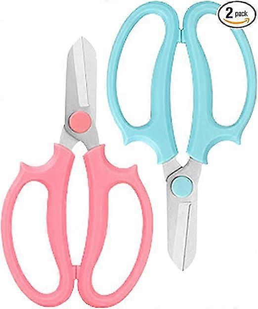 Flower Scissors 2 Pcs - Stainless Steel Floral Scissors, Flower Cutters ...