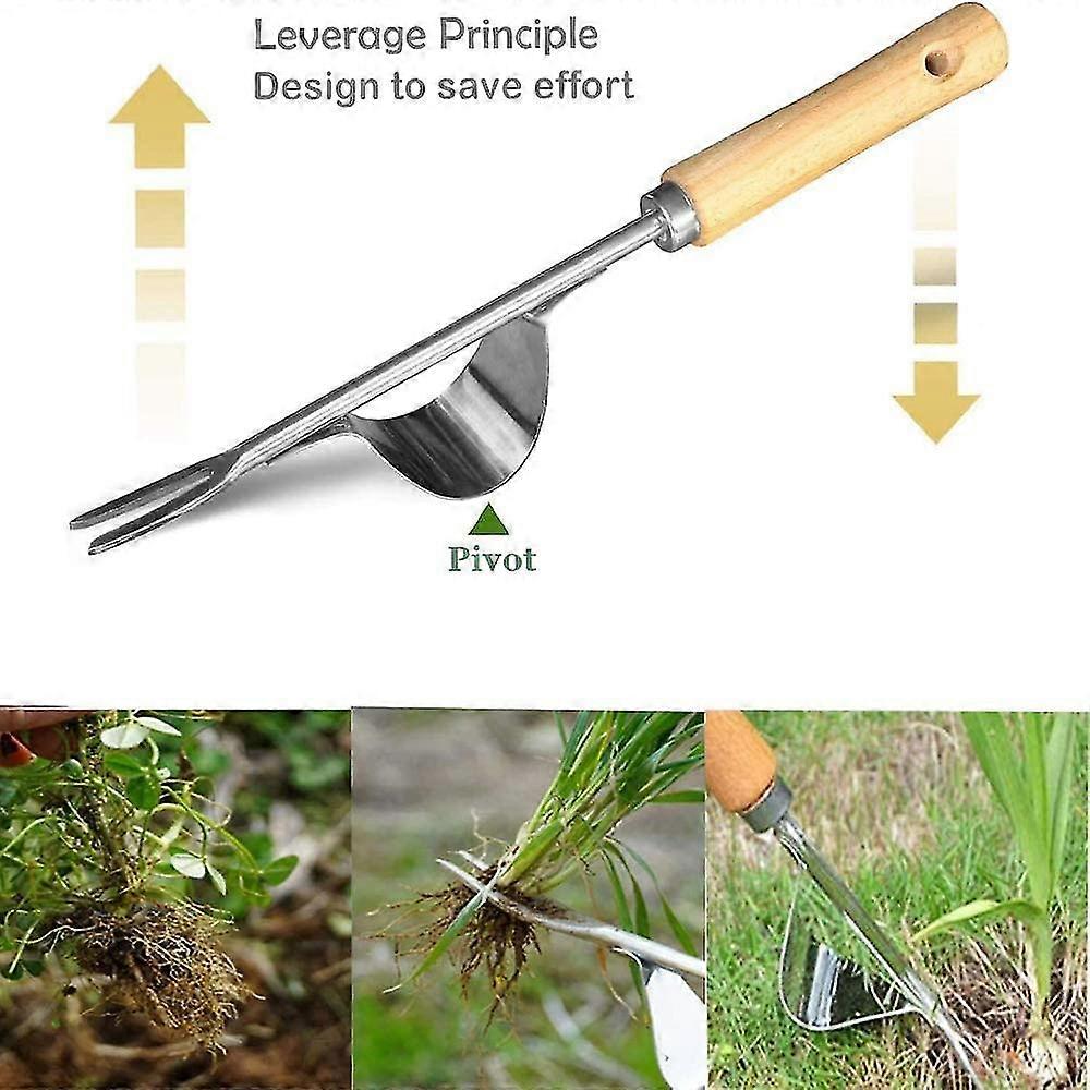 Stainless Steel Manual Weeder, 1 Piece Manual Weeder Tool, Weeder With ...