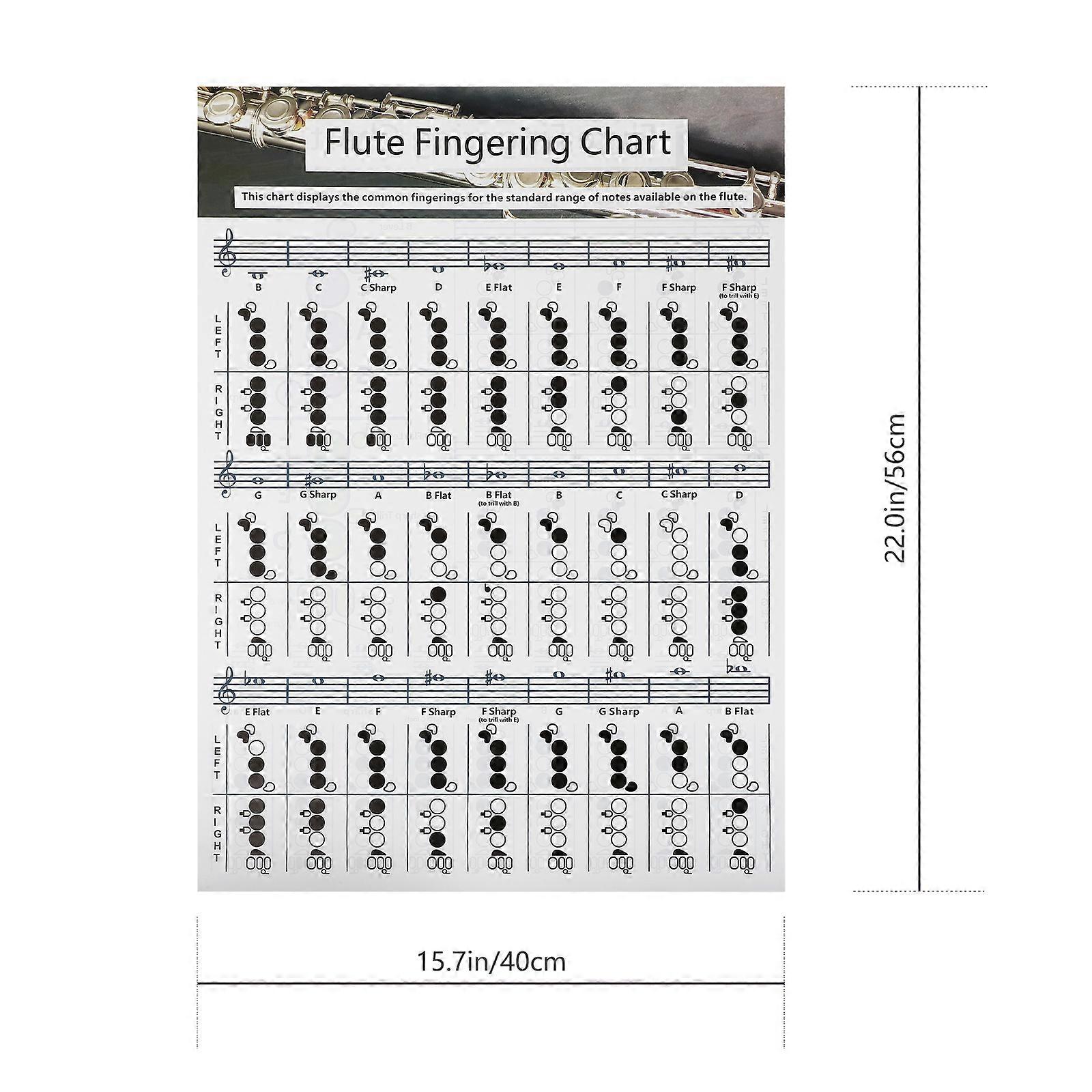 Guitar Piano Chord Chart Fingering Chart Poster Flute Scale Finger ...
