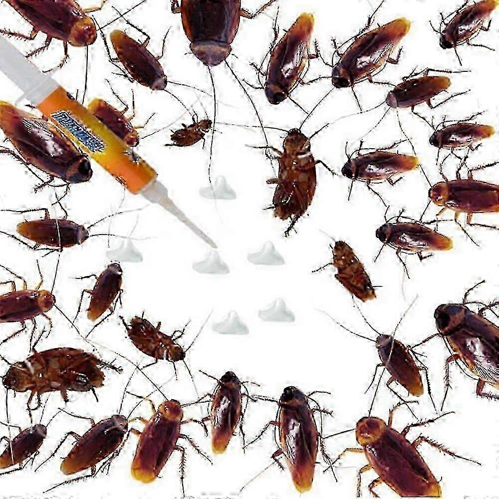 5pcs Cockroach Bait Gel Cockroach Killer Living Room Interior Special ...