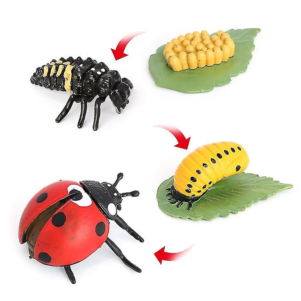 Animal Model Butterfly Bee Ladybug Animal Life Cycle Learning Toy For ...