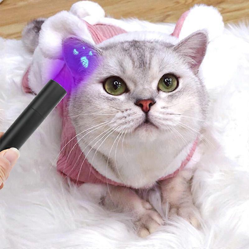 Dog And Cat Ringworm Detector UV Ringworm Lamp Pet 365nm Fungus Test ...