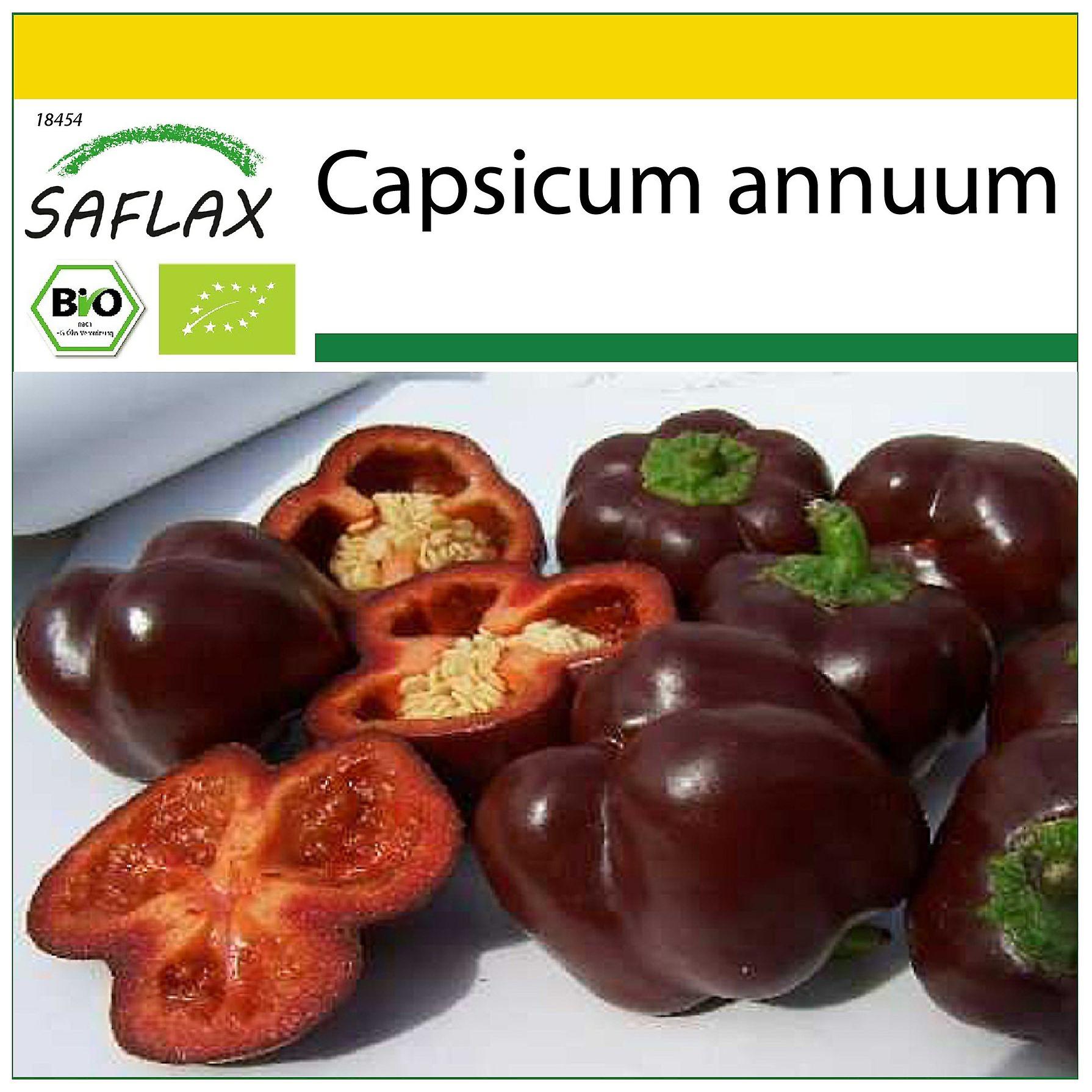 Saflax - Potting Set - 10 seeds - Organic - Sweet Pepper - Sweet ...