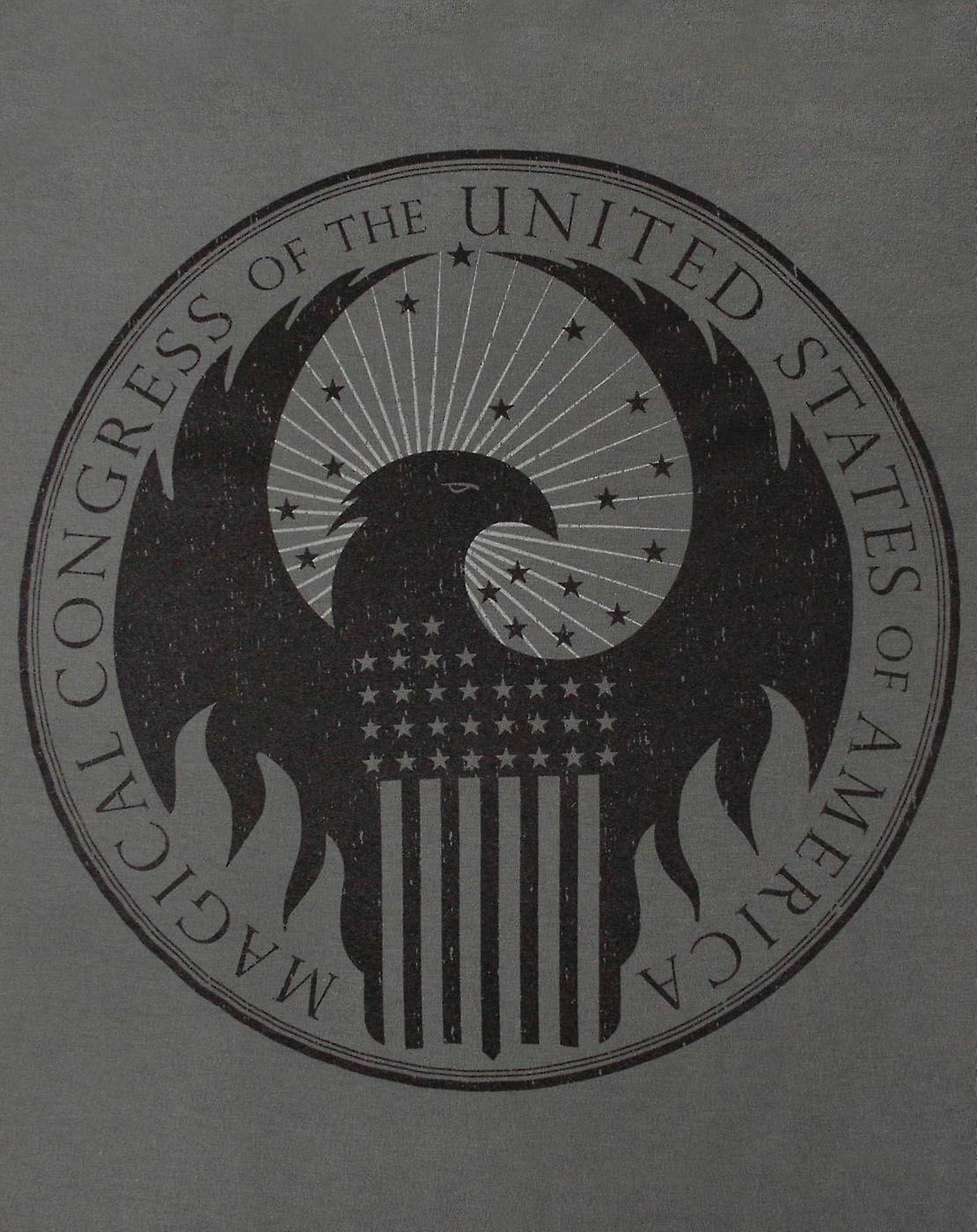 Fantastic Beasts And Where To Find Them Mens Short Sleeved T-Shirt Grey ...