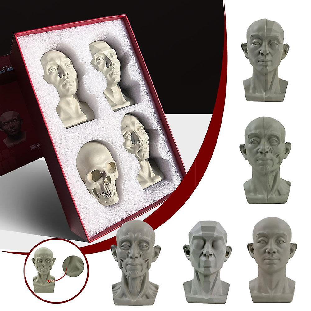 Planar Head Model For Artists Learn Planes of Face Human Head Model ...