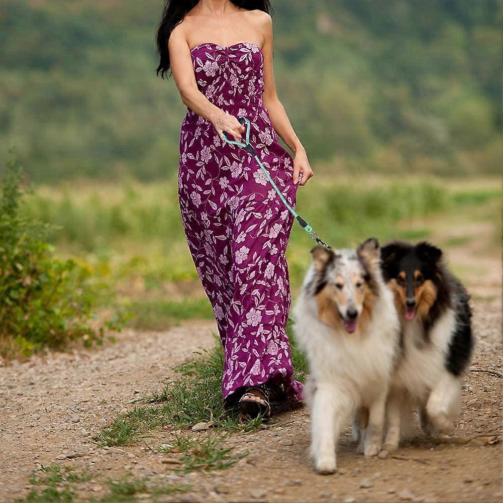 1 Packs Dog Double Leads, Nylon Dog Lead Splitter With Soft Handle, No ...