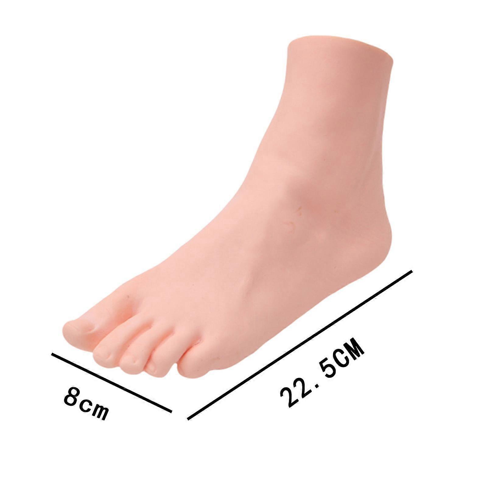 Lifesize Female Foot Fake Movie Props Display Left Foot | Fruugo UK