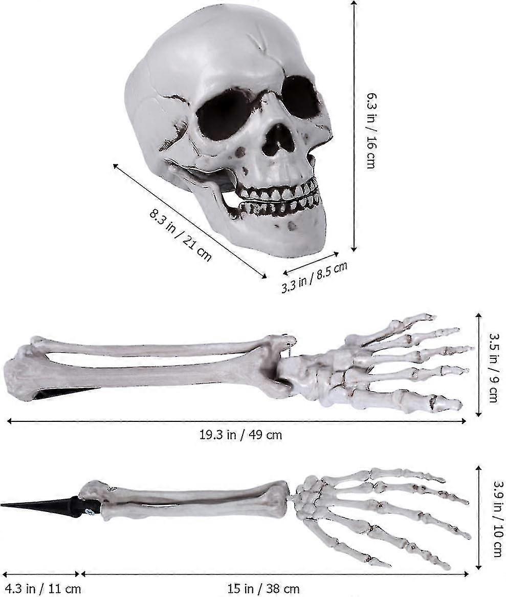 Skeleton Bones And Skull Plastic Spooky Fake Skeleton For Halloween ...