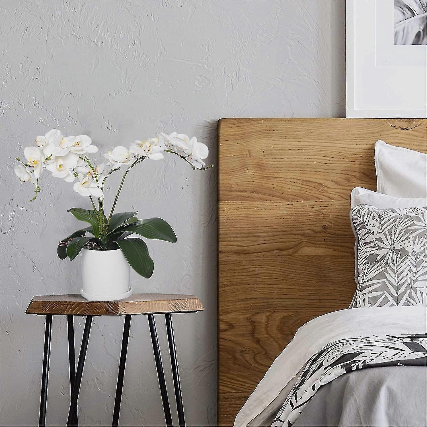 Phalaenopsis Orchids Leaves Artificial Real Looking Roots Latex Contact ...