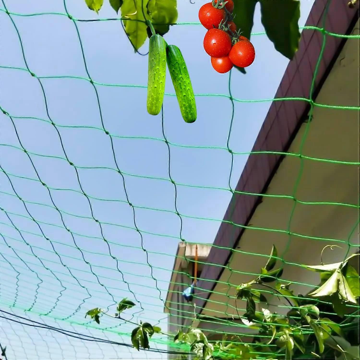 Plant Climbing Net Garden Netting Trellis Netting Flower Climbing Net ...