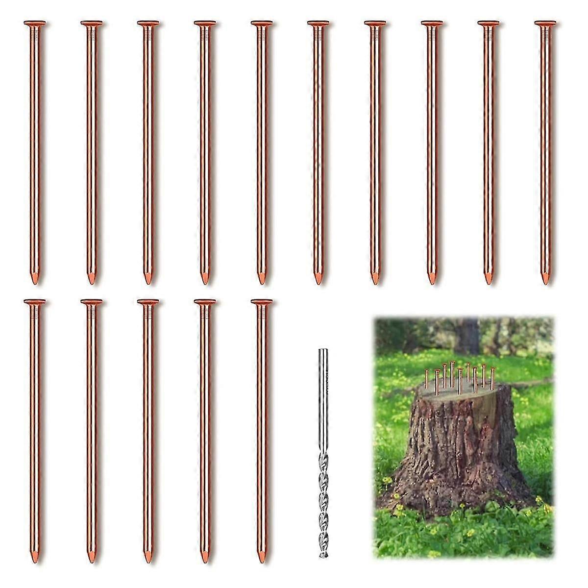 15Pcs Copper Nails for Killing Trees Stump Root, 3.14 Inch Long Pure ...