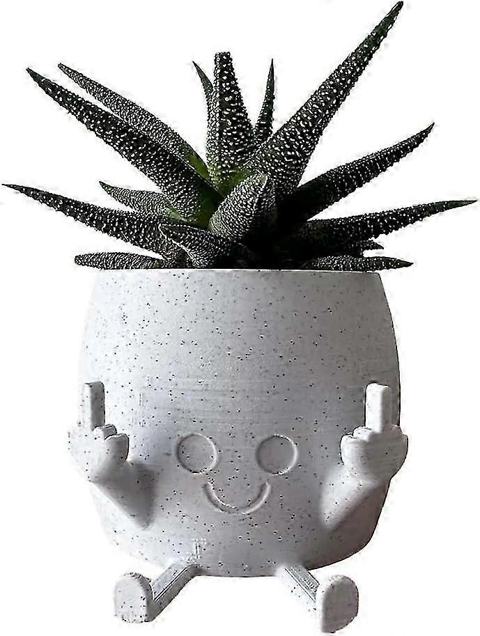Smiling Plant Pot with Middle Fingers Up, Middle Finger Flower Plant ...