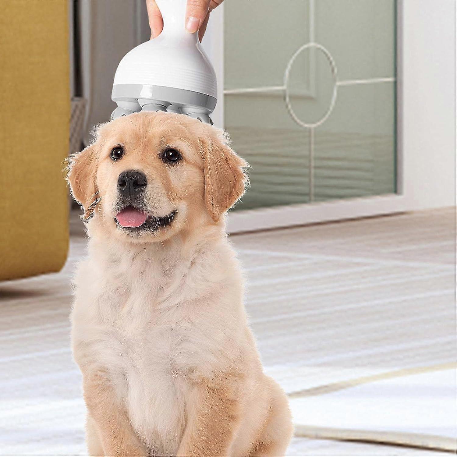 Electric Scalp Head Massager | Handheld Portable Head Scratcher ...