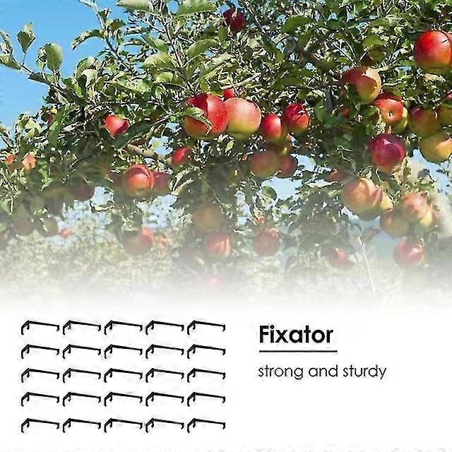 20 Pieces Of Fruit Trees, Citrus Trees, Bent Branches, Branching ...
