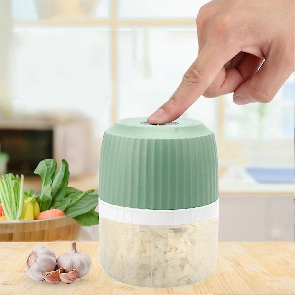 Mini Food Processer Electric Garlic Chopper Vegetable Chili Meat Ginger ...