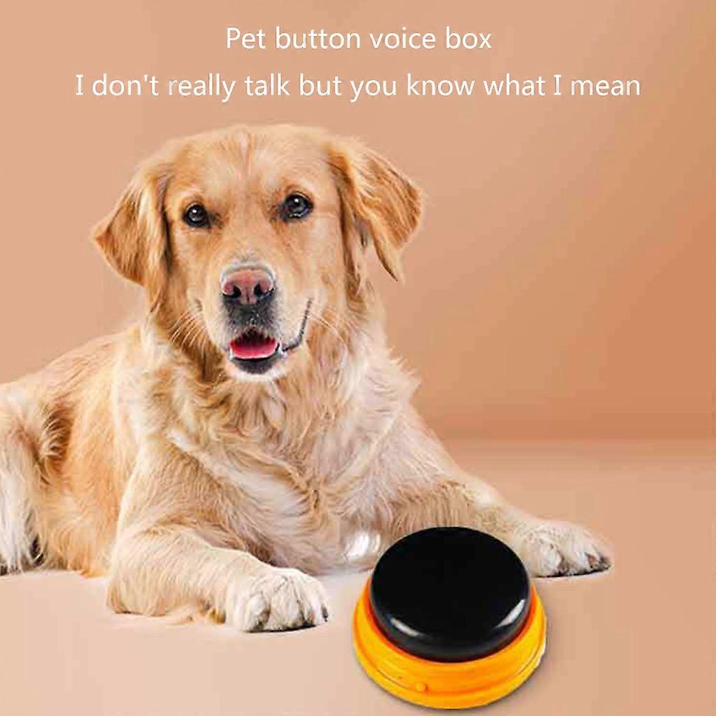 Recordable Talking Voice Recording Sound Button for Kid Pet Dog ...