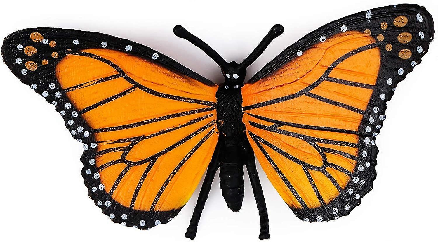 4 Piece Butterfly Life Cycle Kit Monarch Butterfly Lifestyle Stages ...