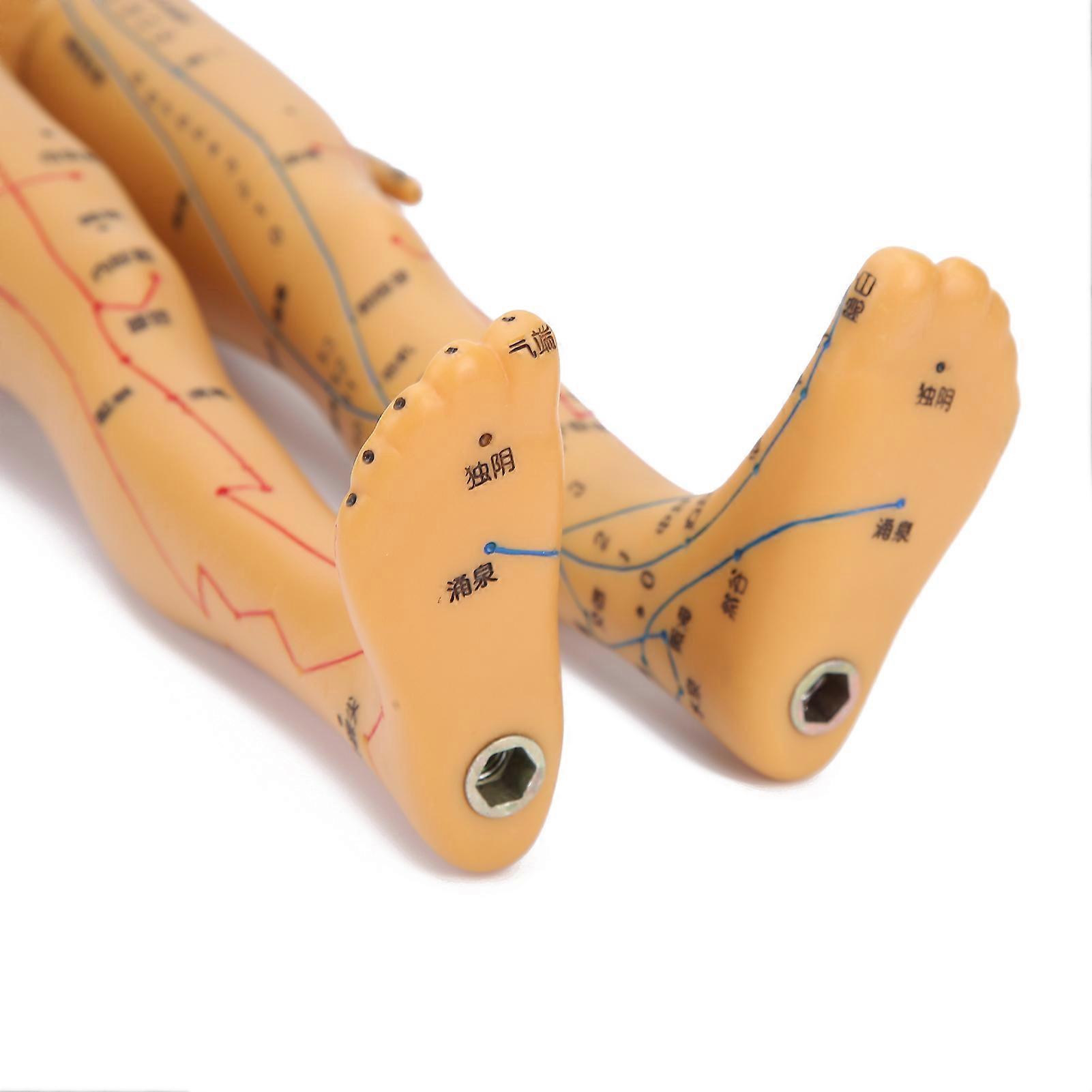 50cm / 19.7in Brass Color Acupuncture Body Model Clear Meridians ...