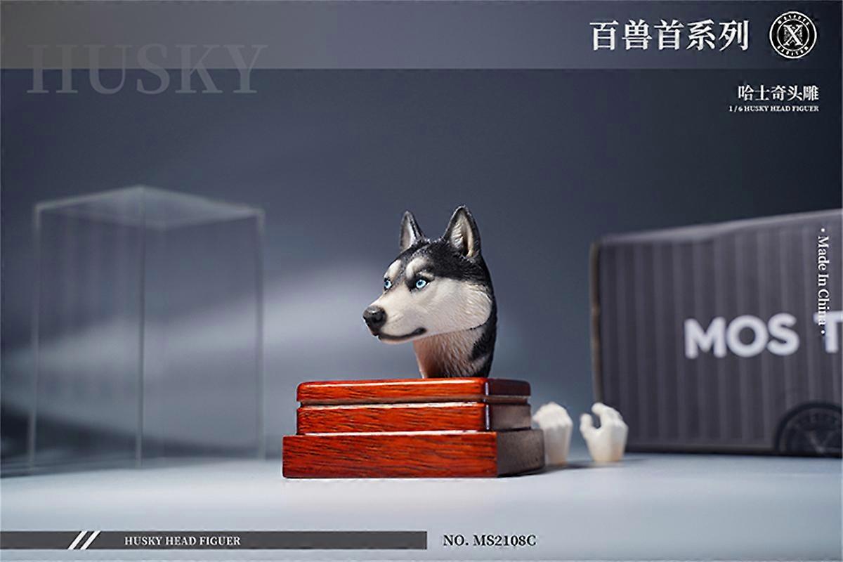 Mostoys 1/6 Siberian Husky Head Figure Animal Pet Dog Decoration ...