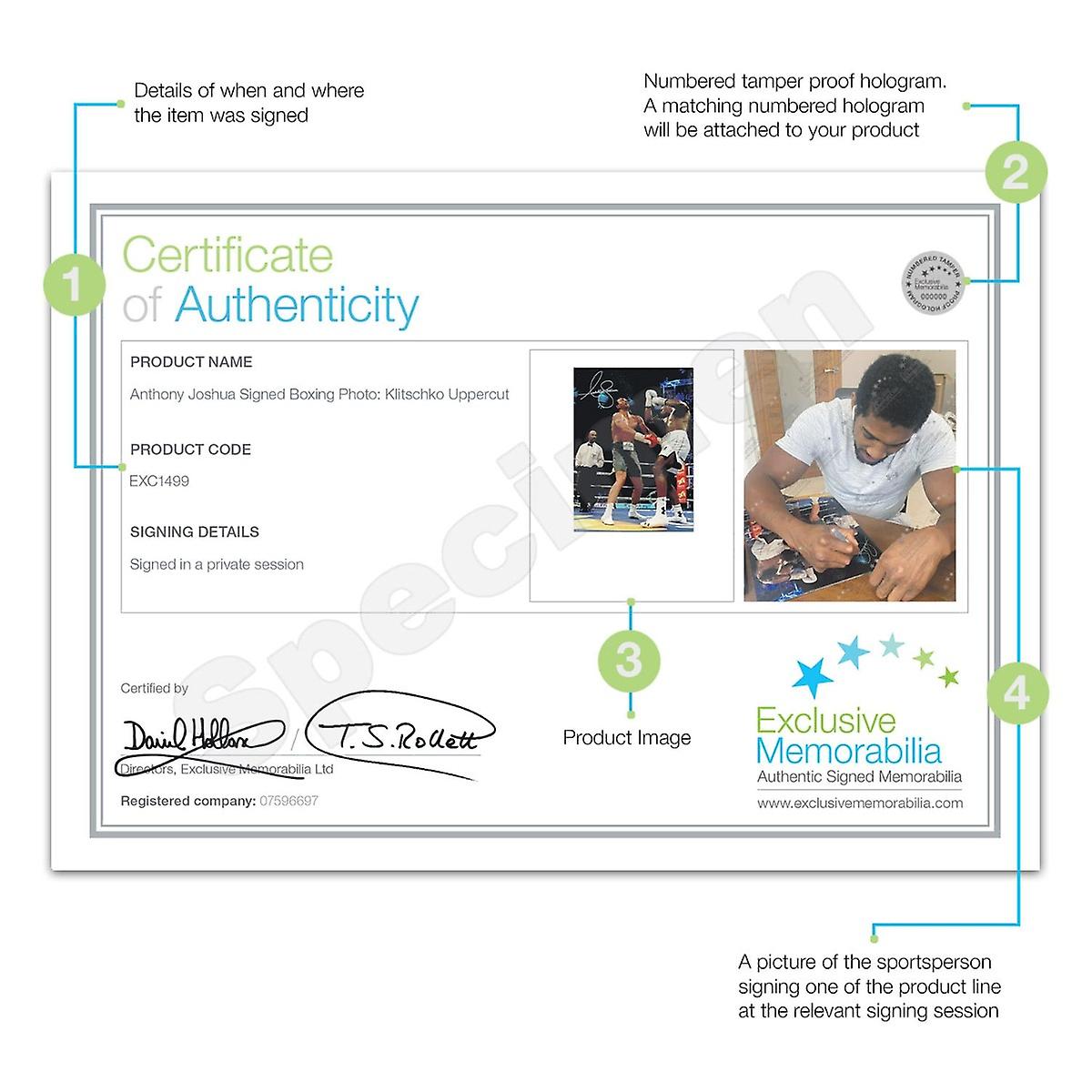 Anthony Joshua Signed Boxing Photo: Klitschko Uppercut | Fruugo IE