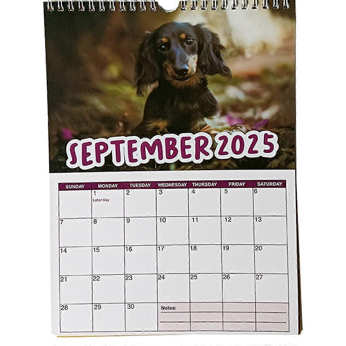 Cheeky Dachshunds - 2025 Wall Calendar New Year Gifts Gift Wall ...