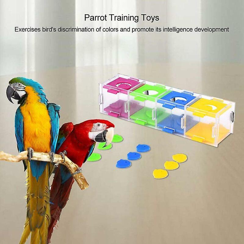 Bird Toys, Colorful Parrot Toys Intelligce Interesting Bird Training ...