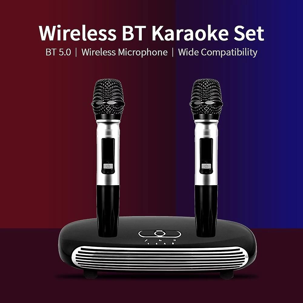 Wireless BT Karaoke Set with Dual Wireless BT Microphone for Smart TV ...