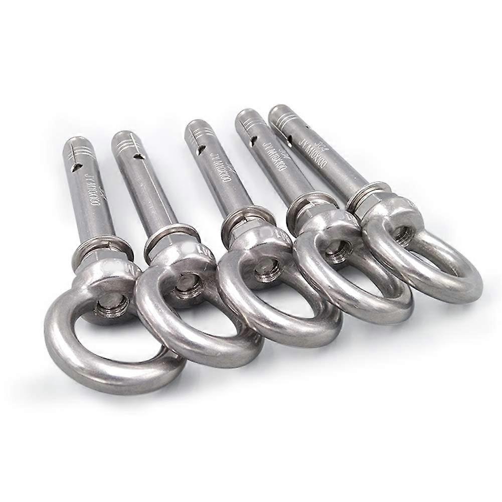 Set of 5 stainless steel eyebolts for wall, concrete, brick, anchoring ...
