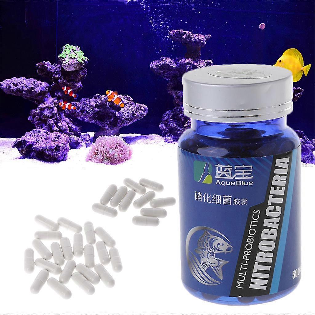 Nitrifying Bacteria for Ornamental Fish Quickly Establish Nitrification ...