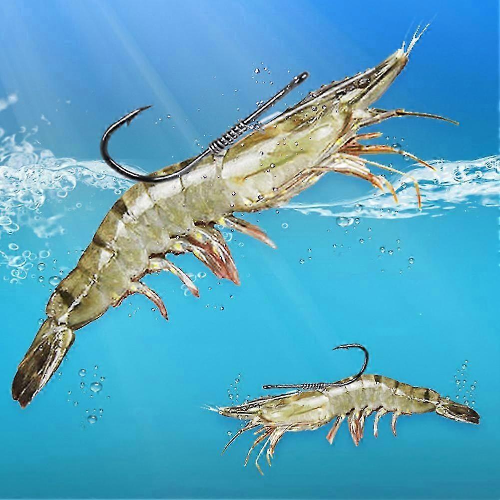 Live Shrimp Fixing Hook Heavy Duty Bass Fishing Hook Multi-functional Fishhooks for Freshwater ...