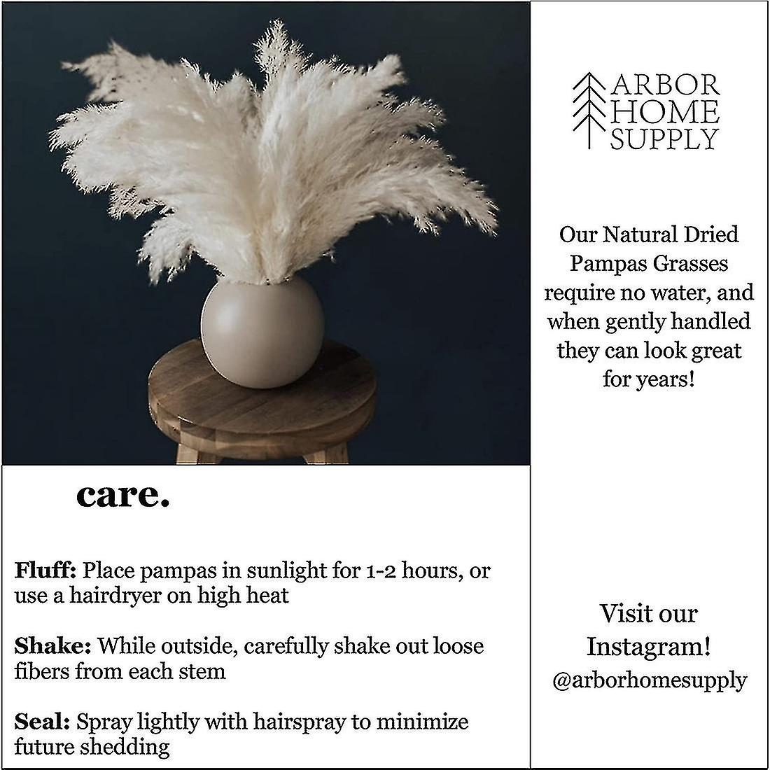 White Pampas Grass - 10 Pampas Stems Of Fluffy Pampas Grass For Wedding ...