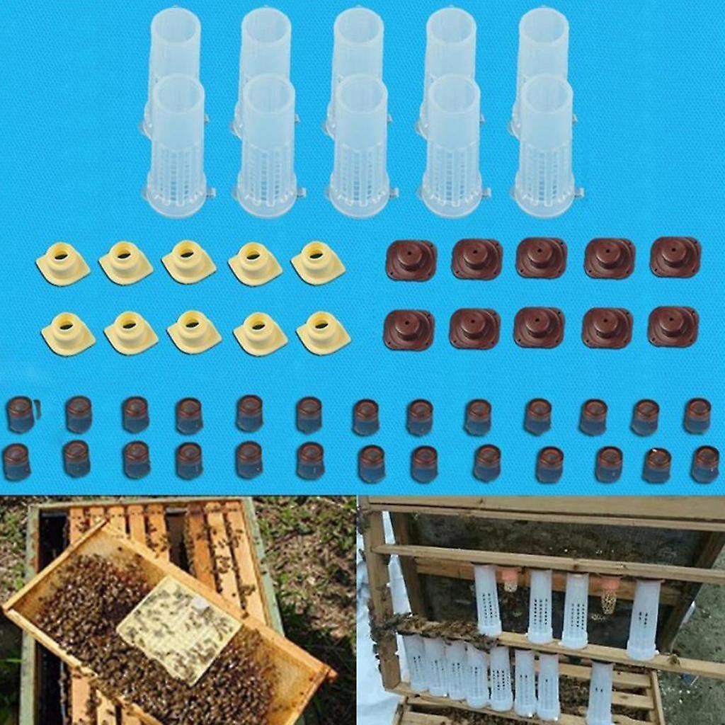 Complete Queen Rearing Kit Cell Cups Holder Queen Bee Cage Beekeeping ...