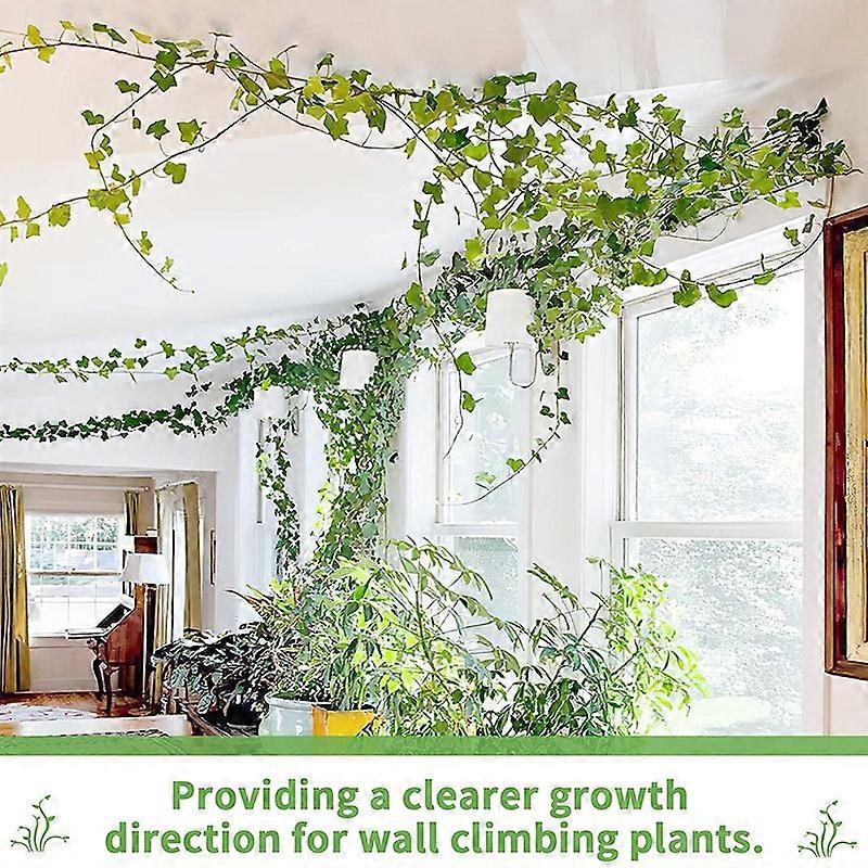 50PCS Garden Plant Clips,Plants Climbing Wall Support Snap Fixture ...