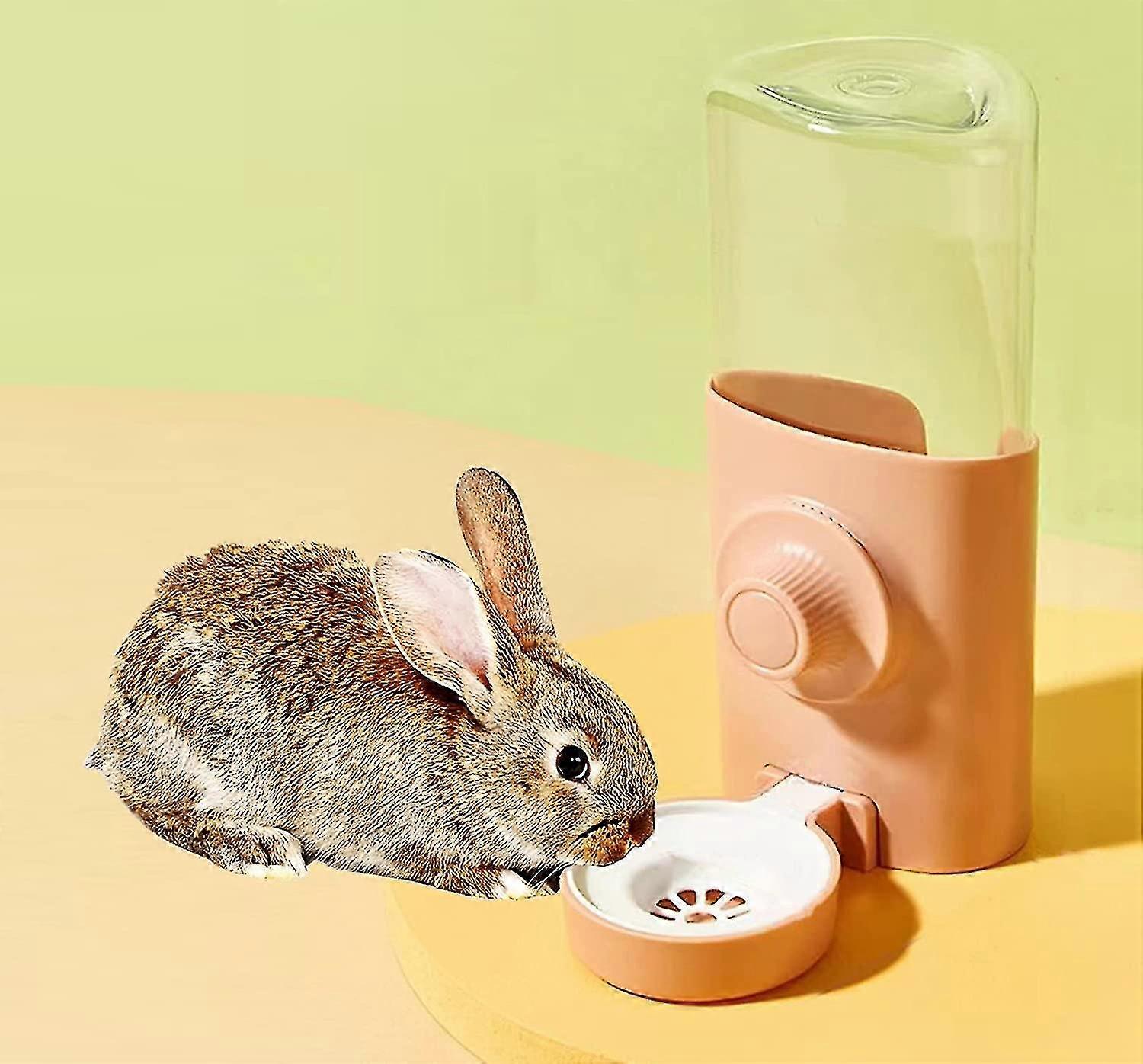 Rabbit Water Bottle, 600ml Hanging Automatic Water Dispenser By Gravity ...
