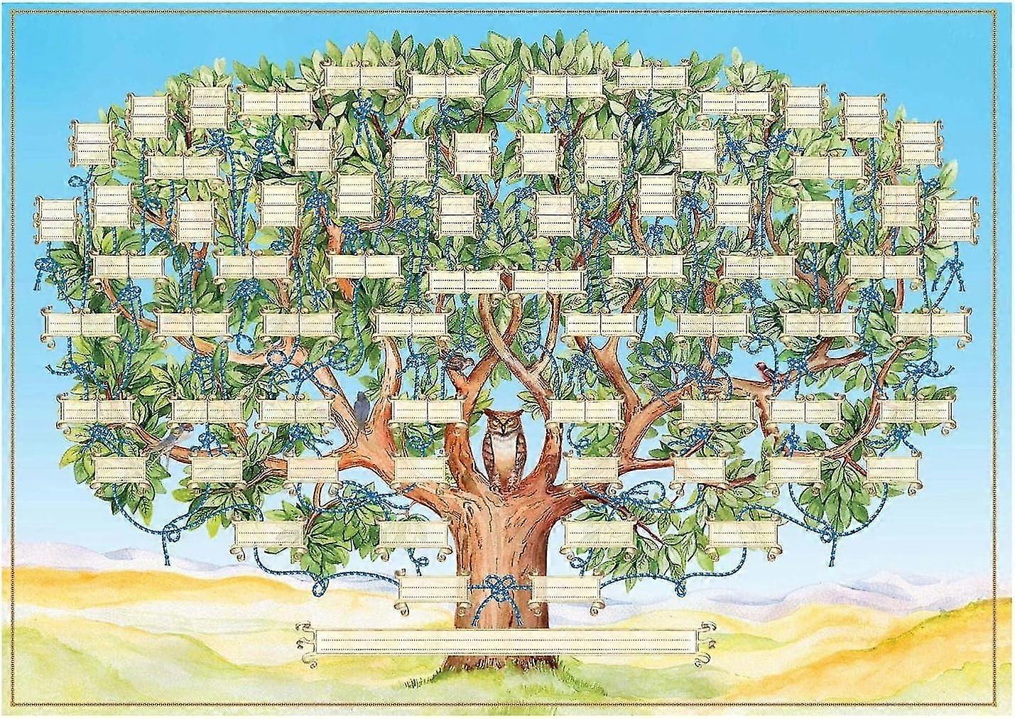 Family Tree Chart To Fill In, 6 Generation Genealogy Poster Blank ...