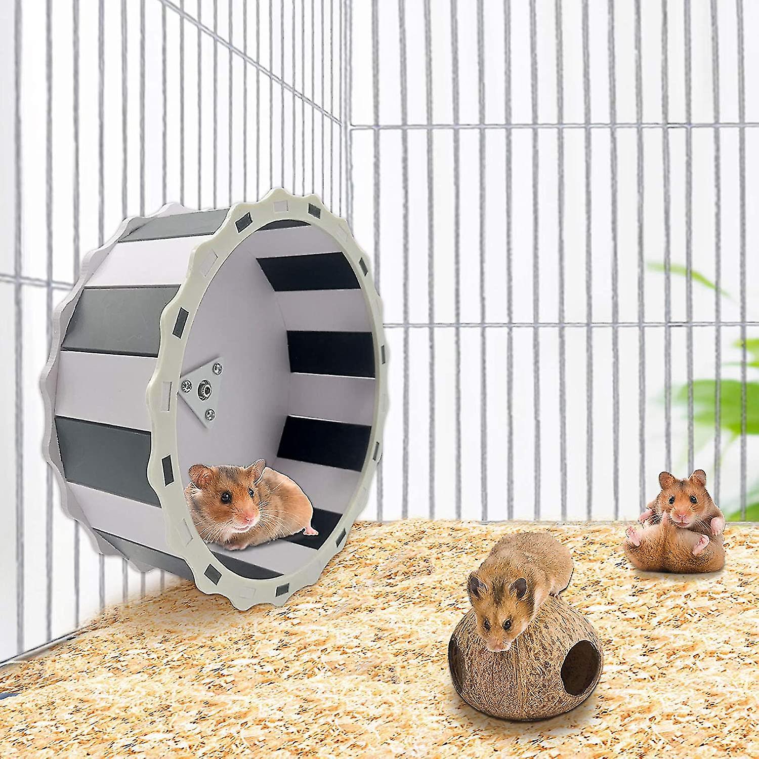 Hamster Wheel Silent Exercise Running Wheel Toys For Chinchilla Hed ...