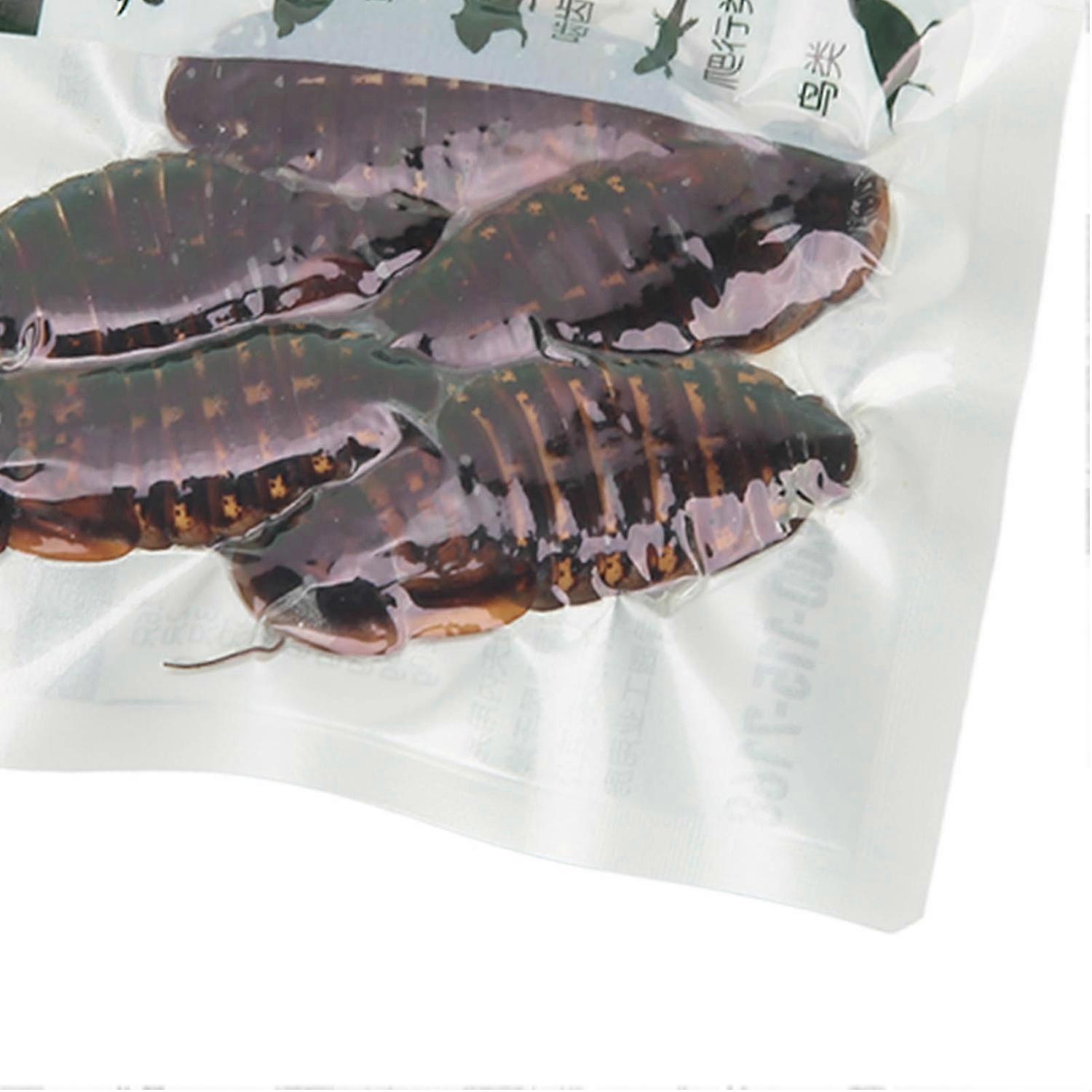 Dubia Roaches Food Nutritious Safe Healthy Vacuum Sealed Pet Roaches ...