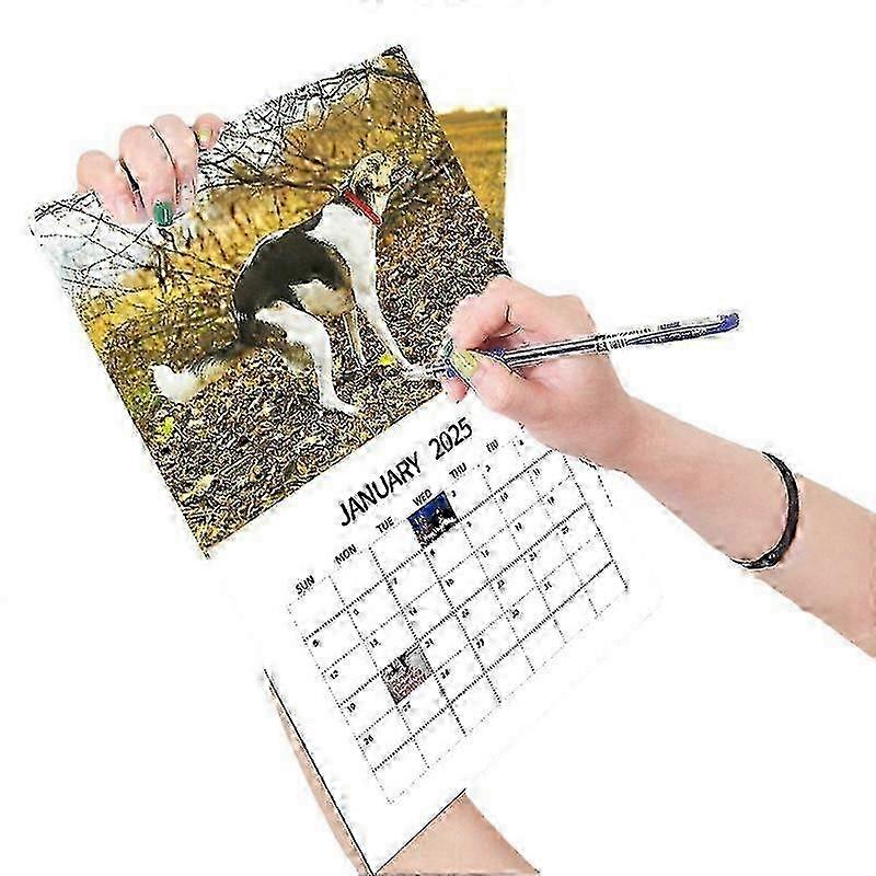 2025 Calendar Dogs Pooping In Beautiful Places Wall Calendar, Funny Dog ...