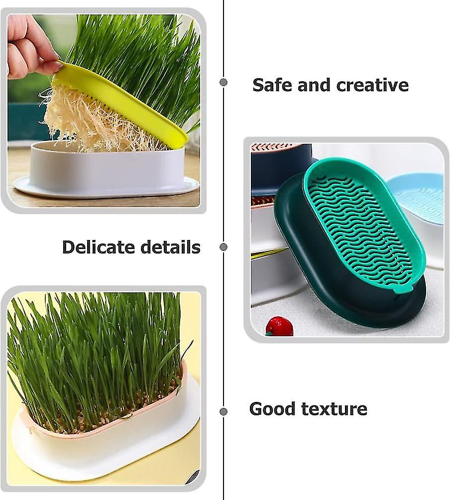 3pcs Grass Growing Kit Window Garden Kit Hydroponic Grass Box Sprouter ...
