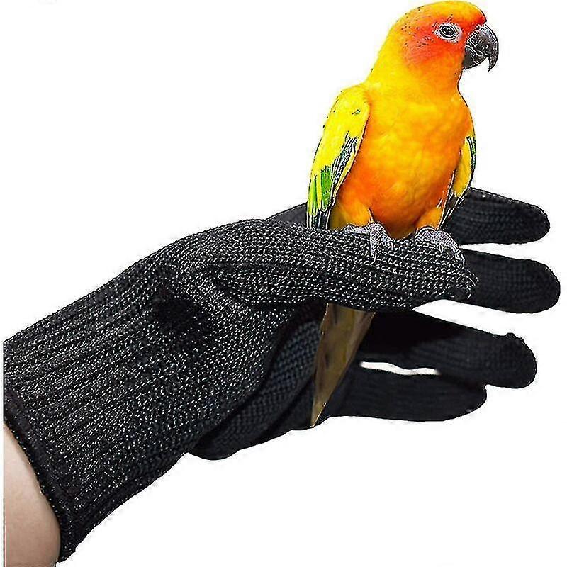 Parrot Anti-bite Gloves Animal Padding Scratch Bird Handling Gloves ...