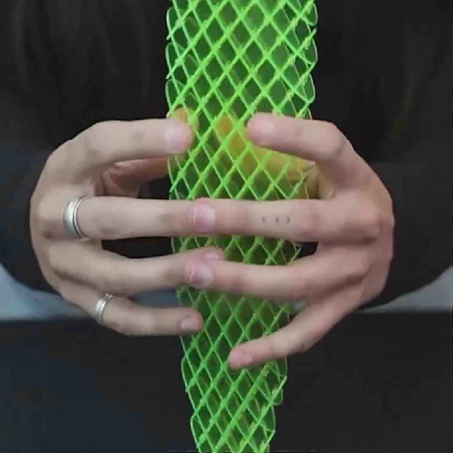 Fidget Worm Toy | Green Popping Worm Stretchy Toys | Sensory Slug ...