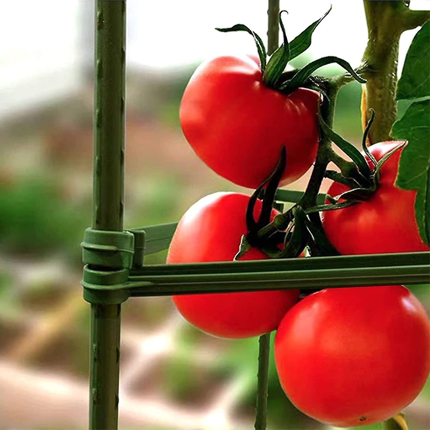 30 Pack Stake Arms For Tomato Cage Plant Support Garden Stakes ...