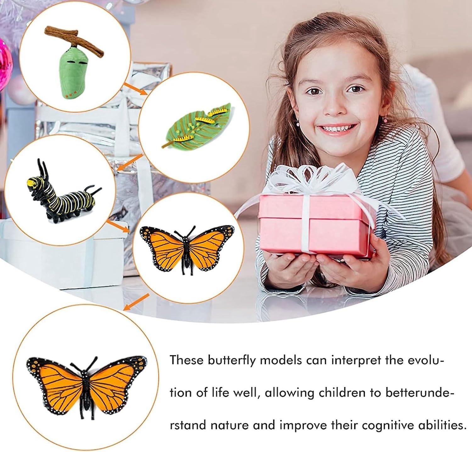 Wooden Tray Insects Life Cycle Kit for Kids Teaching Tools with Stages ...