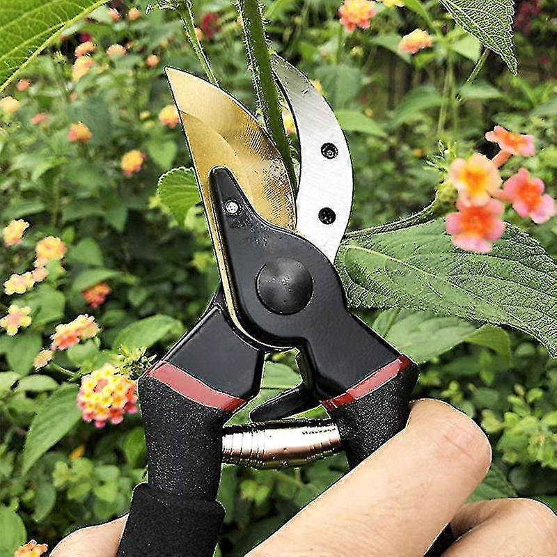 Pruning Shears Gardening Scissors Branch Pruning Shears Flower Pruning Shears Garden Flower ...