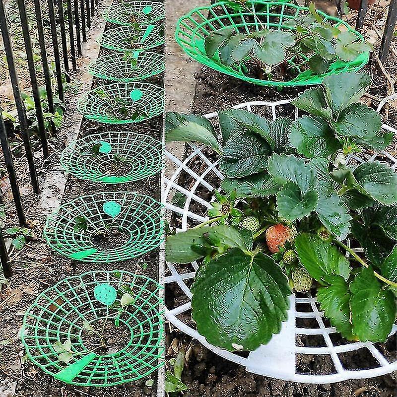 Strawberry Stand, Portable Strawberry Stand With 4 Sturdy Legs ...