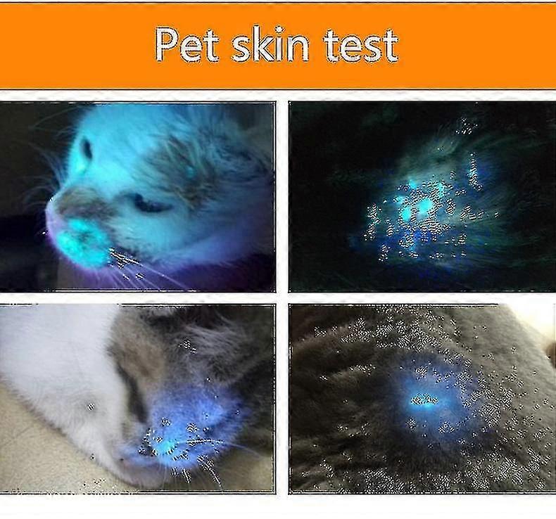 Lightweight Hand-held Wood Lamp Wavelength Ultraviolet Diagnostic Uv ...